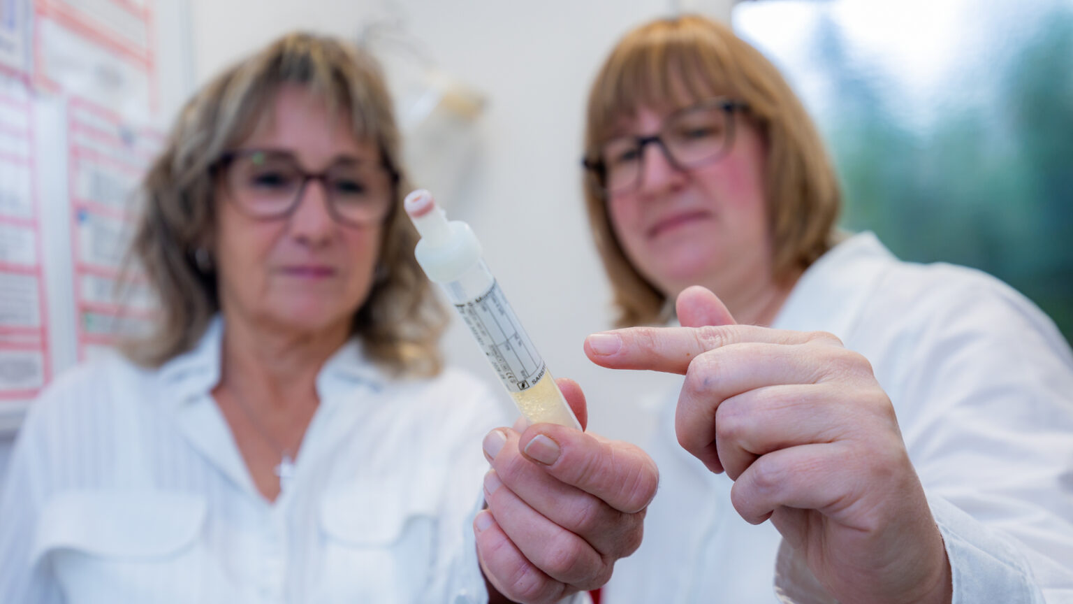 Labor-/Blutuntersuchungen | Hausarztpraxis Hartmann + Hummel | Regensburg